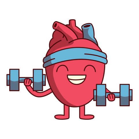 Heart Disease Illustration Png - Photo #2102 - Pngfile