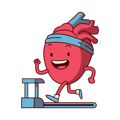 Heart Disease Illustration Png - Photo #2097 - Pngfile